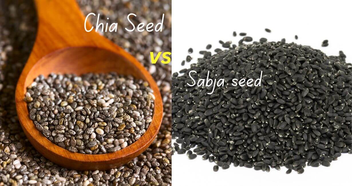 Chia Seed vs Sabja Seed: Complete Guide/ Don't Skip/ Know Top Notch